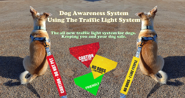 Dog Awareness System – Using The Traffic Light System – Styled Up Pup